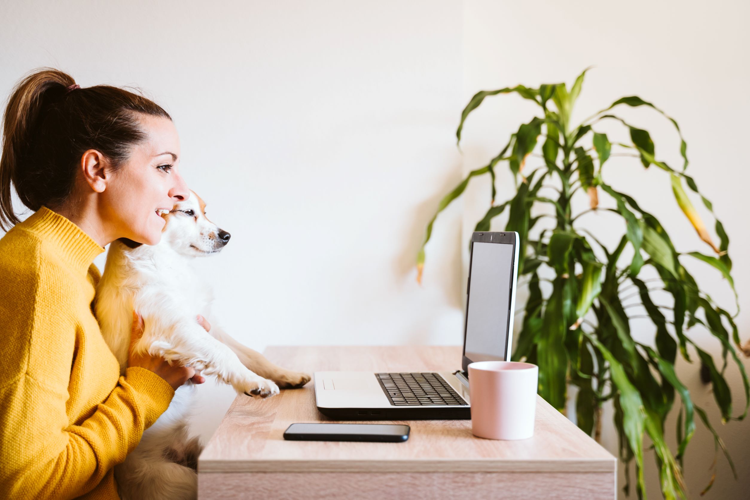 The Increasing Demand for Work From Home Employees - AimBig Employment